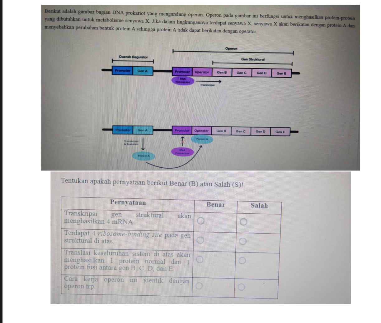 Berikut adalah gambar bagian DNA prokariot | StudyX