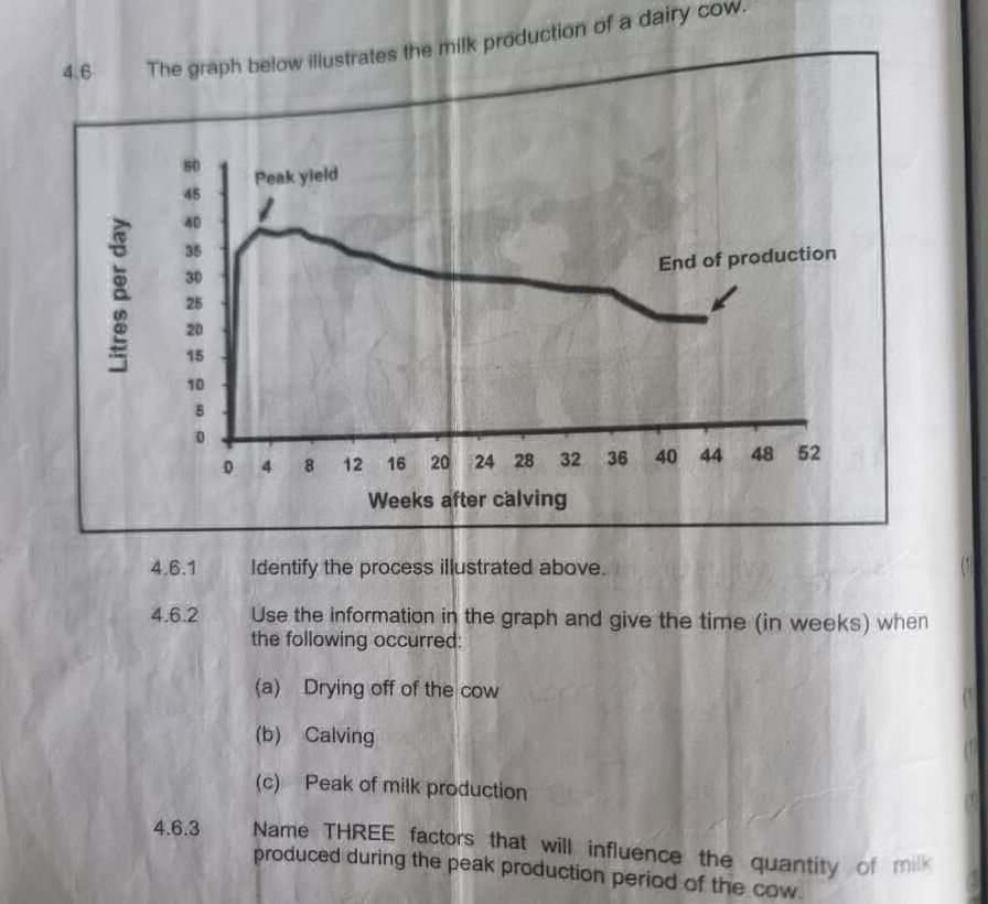4.6 The graph below illustrates the milk | StudyX