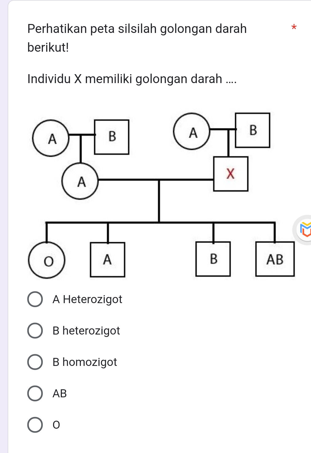 Perhatikan peta silsilah golongan darah | StudyX
