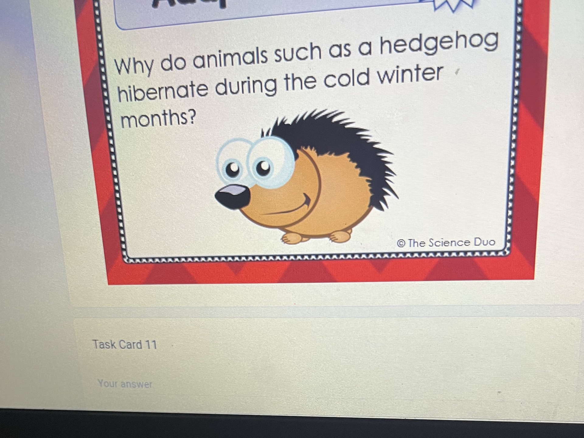 Why do animals such as a hedgehog hibernate | StudyX