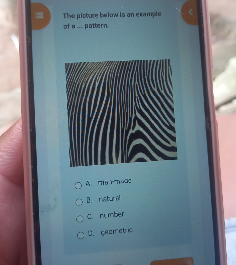The picture below is an example of a ...