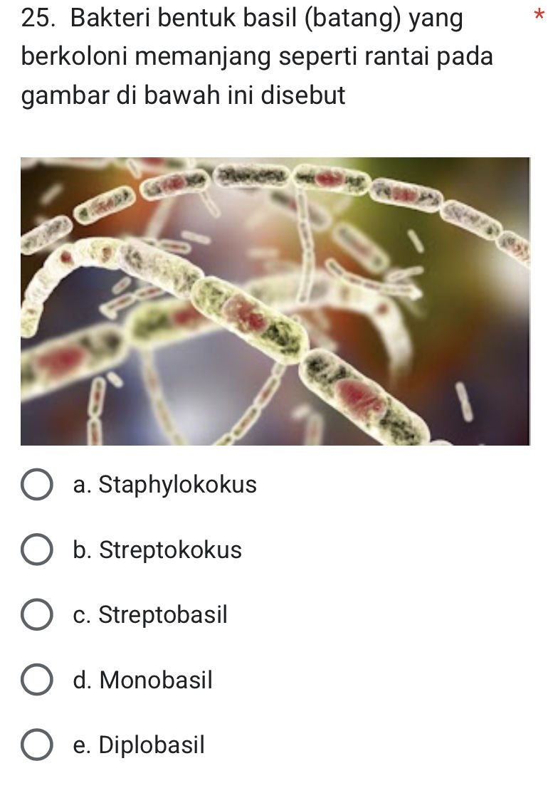 25. Bakteri bentuk basil (batang) yang | StudyX
