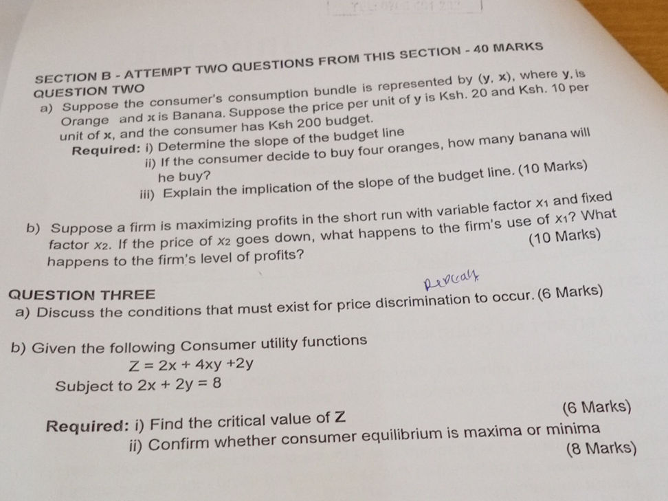 a) Suppose the consumer's consumption bundle | StudyX