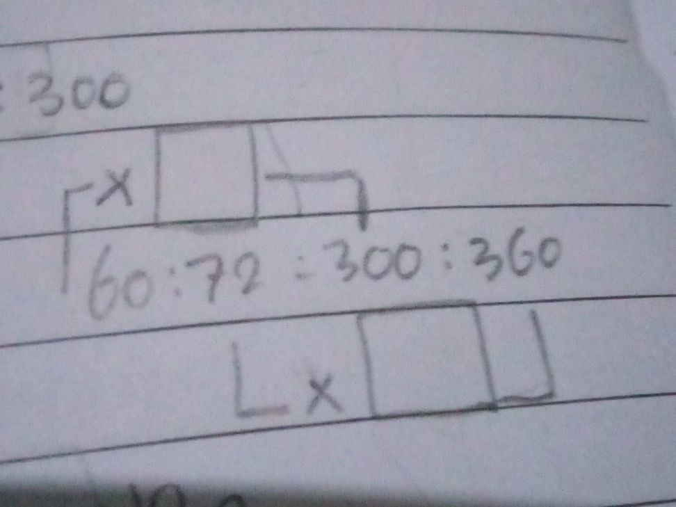 Understanding Ratio and Proportion | StudyX