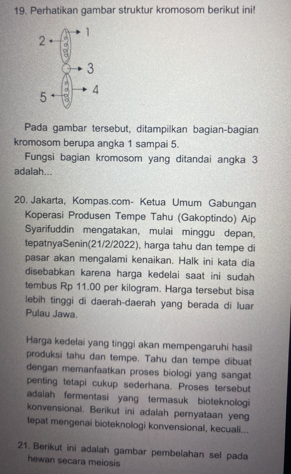 19. Perhatikan gambar struktur kromosom | StudyX