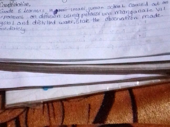 Grade 8 Learners in mir Imani junior school | StudyX