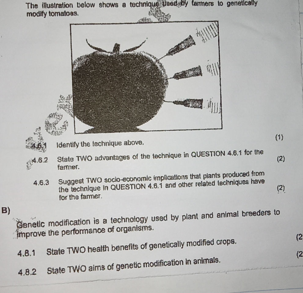 The illustration below shows a technique | StudyX