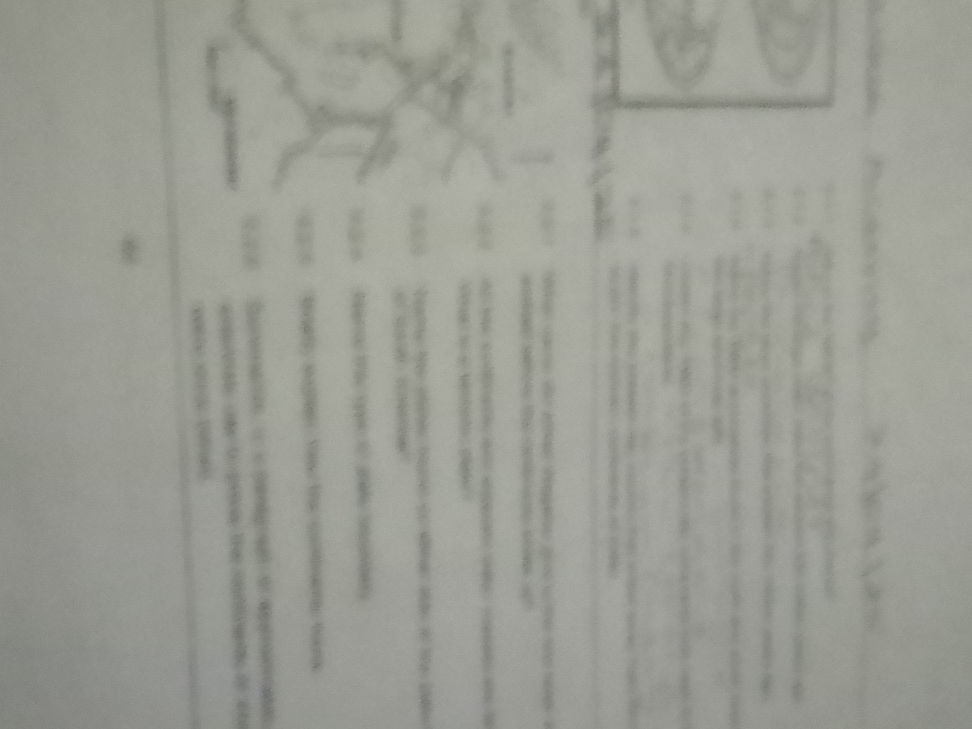 The image contains a map and some text. The | StudyX