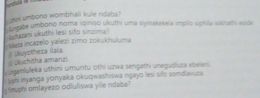 Uthini umbono wombhali kule ndaba? Ungabe | StudyX