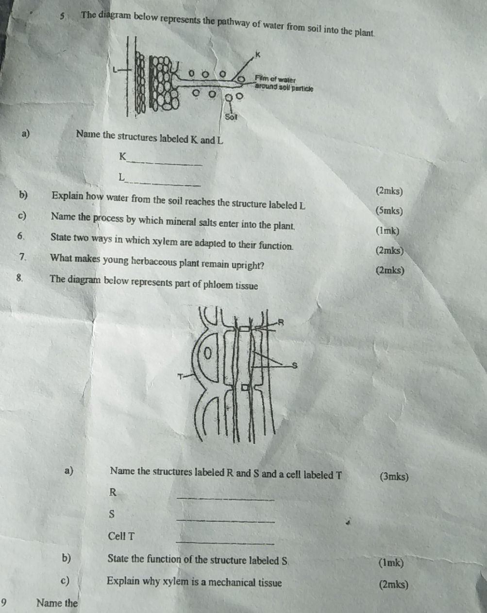 5. The diagram below represents the pathway | StudyX