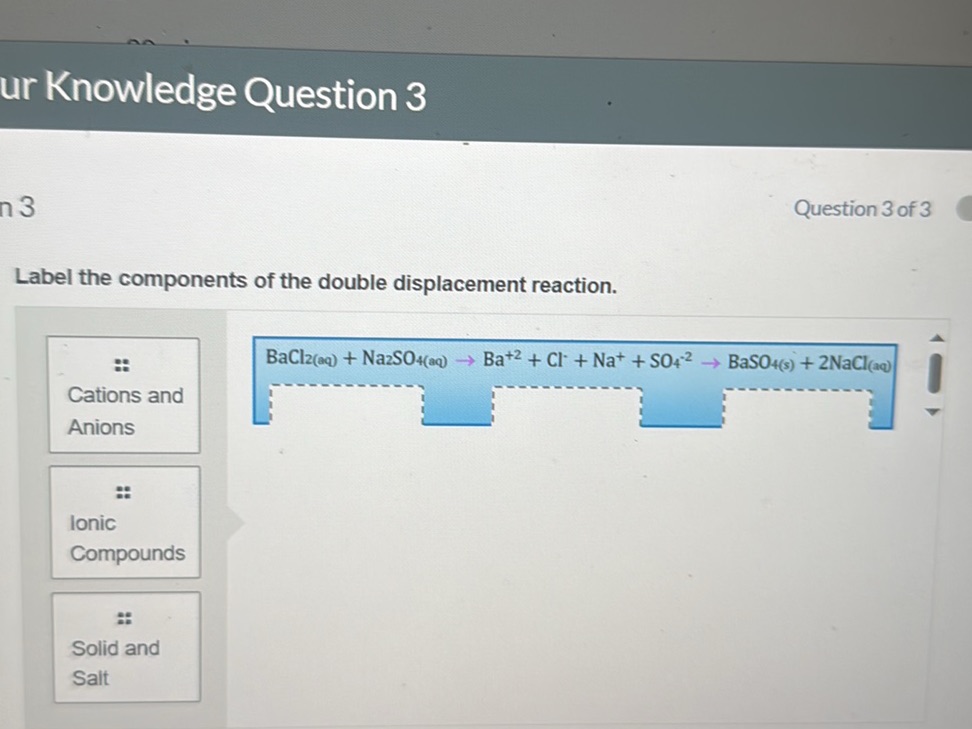 Label the components of the double | StudyX