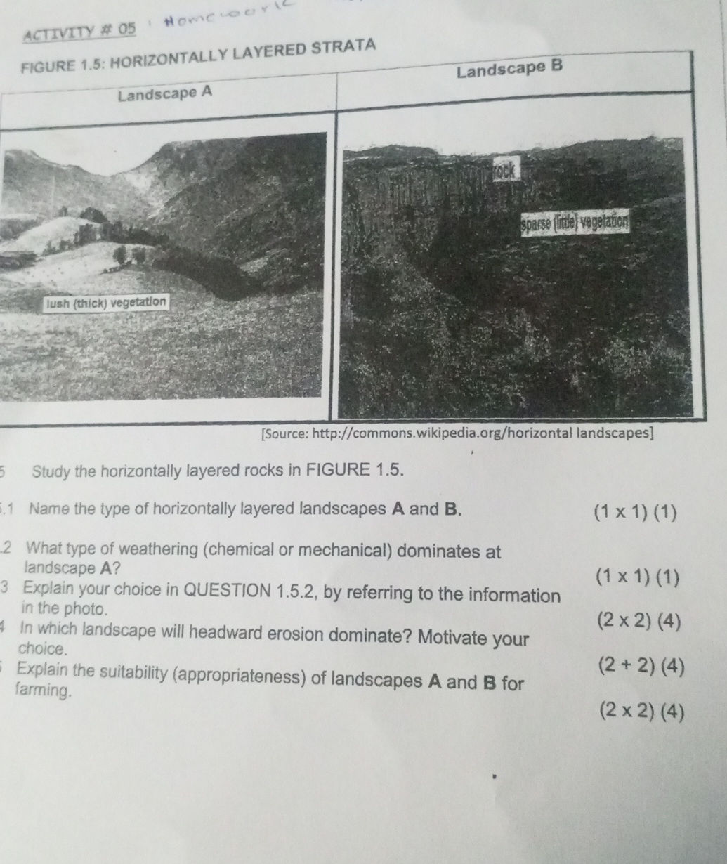Study the horizontally layered rocks in | StudyX