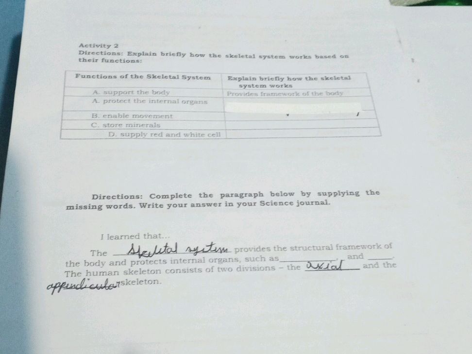 Directions: Explain briefly how the skeletal | StudyX