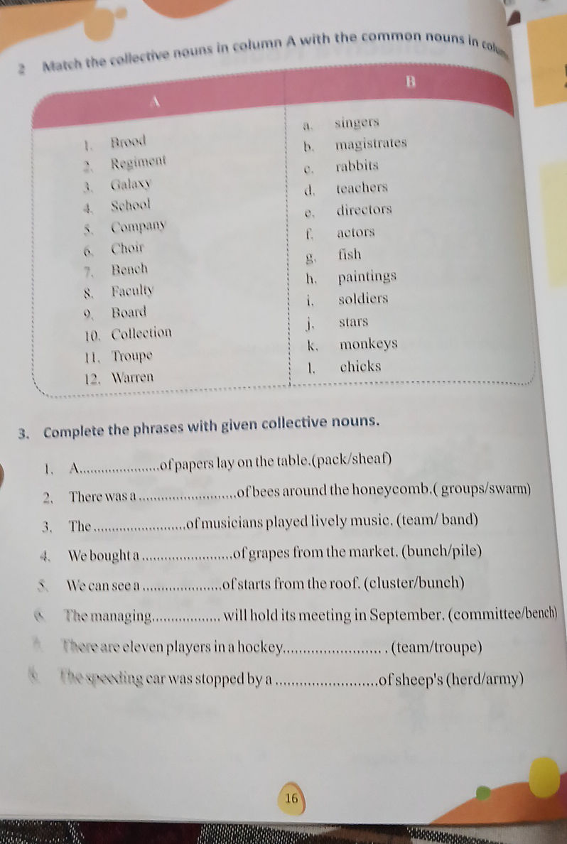 2 Match the collective nouns in column A | StudyX