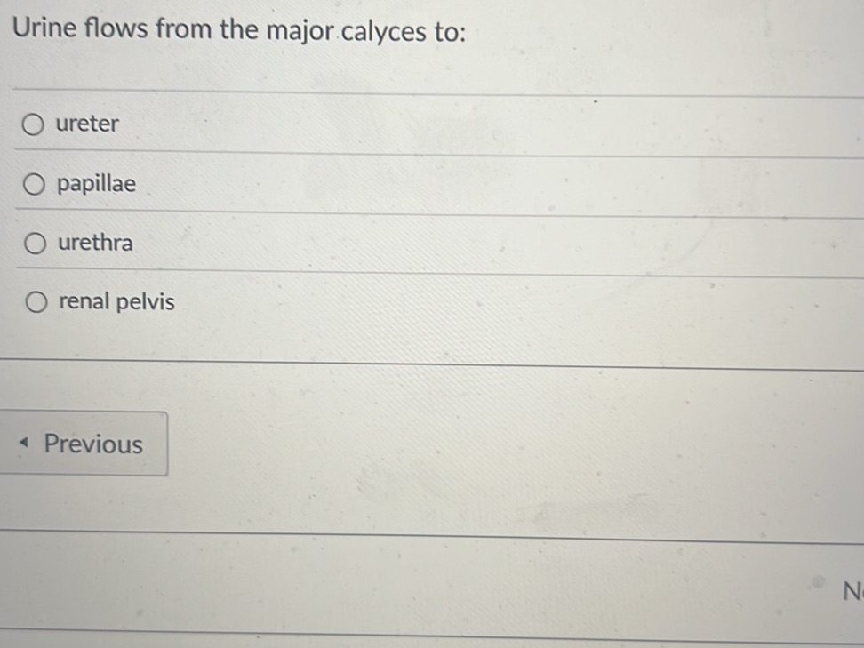 Urine flows from the major calyces to: O | StudyX