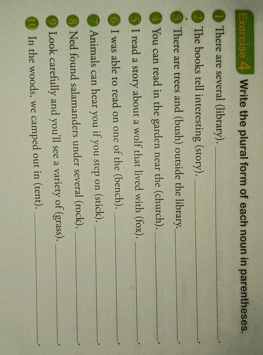 Exercise 4 Write the plural form of each | StudyX