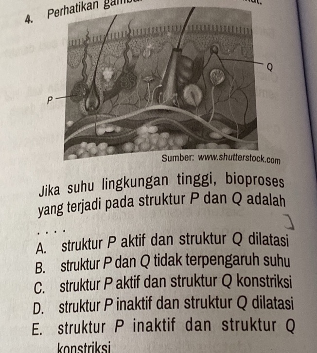 4. Perhatikan gambar berikut. ![Diagram of | StudyX