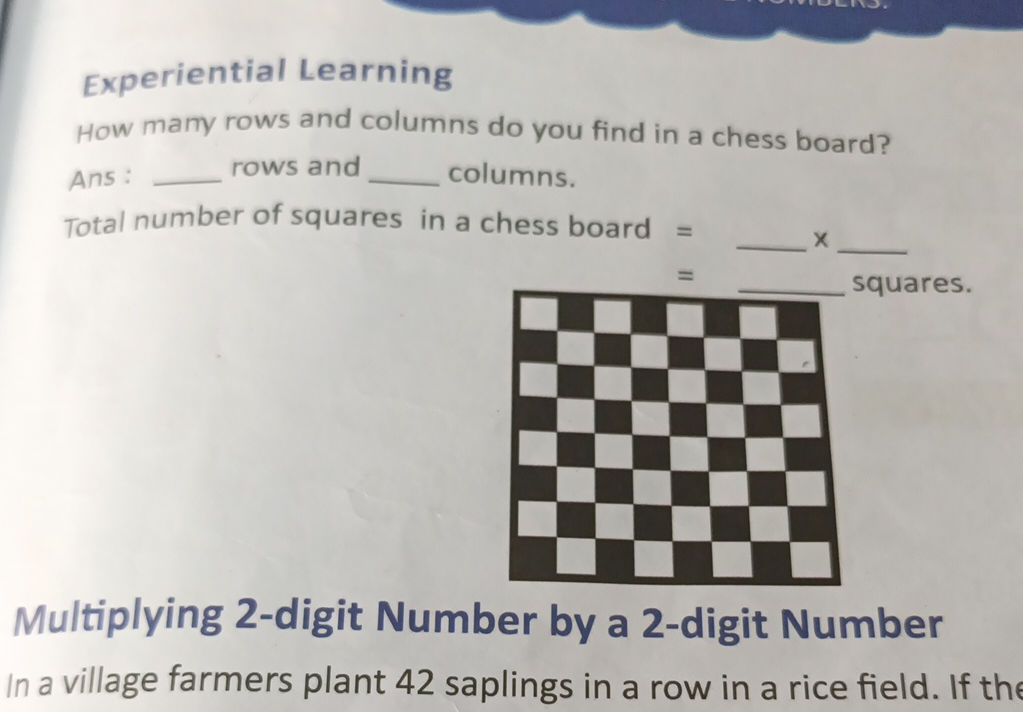 How many rows and columns do you find in a | StudyX