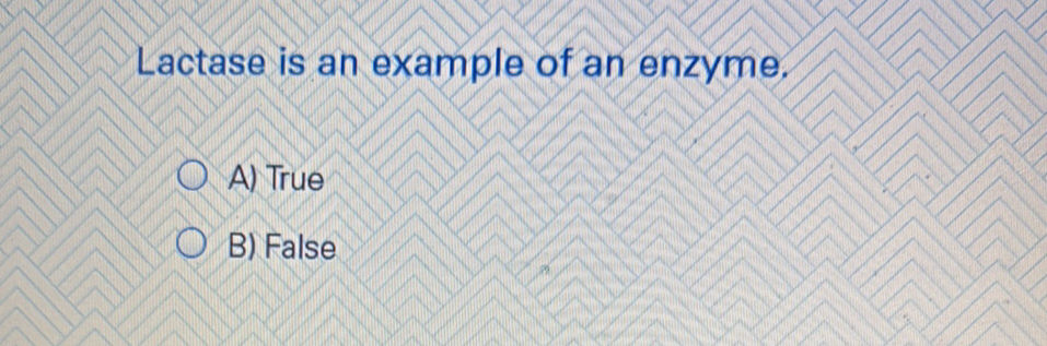 Lactase is an example of an enzyme. A) True | StudyX
