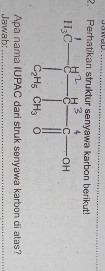 Perhatikan struktur senyawa karbon berikut! | StudyX