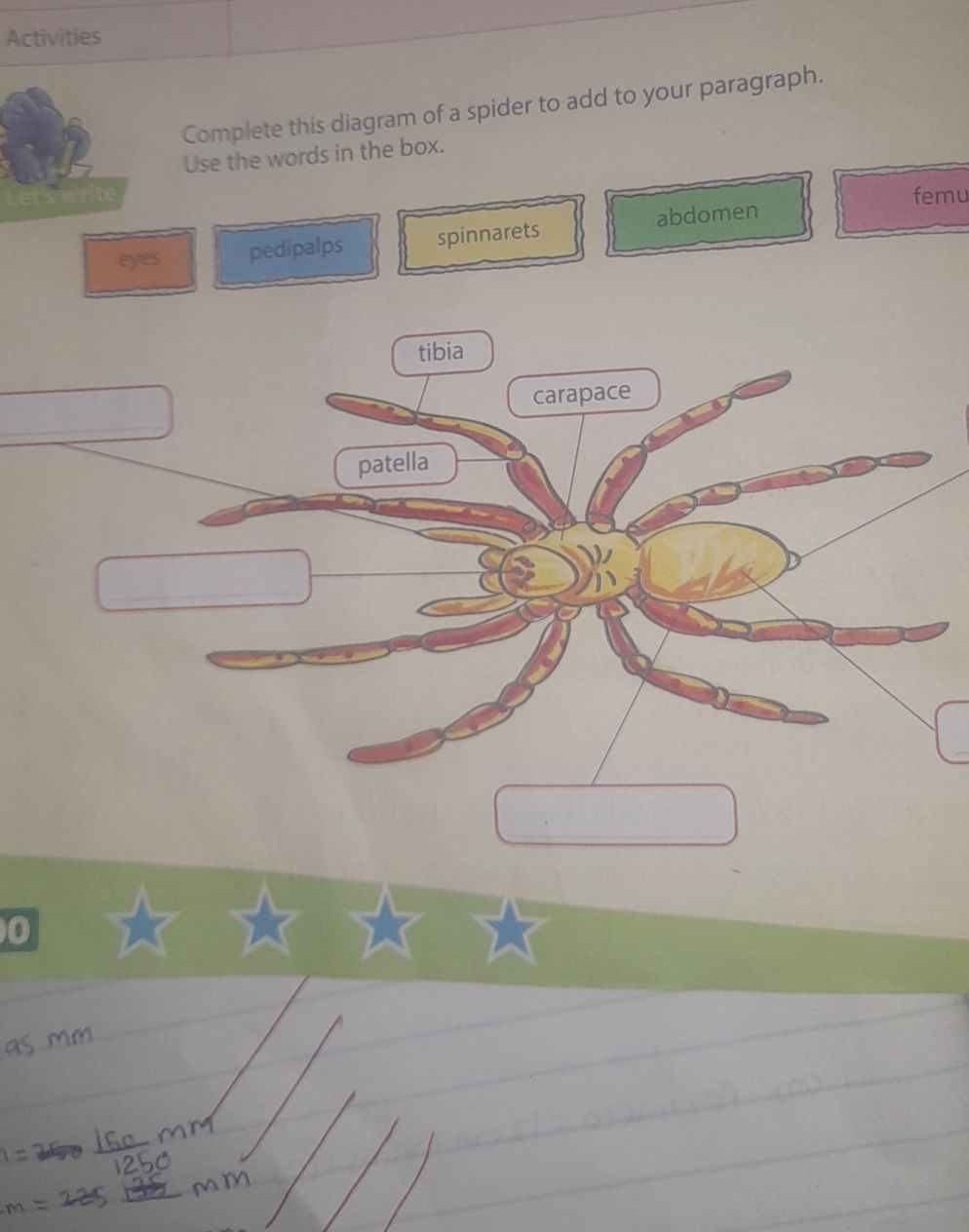 Complete this diagram of a spider to add to | StudyX