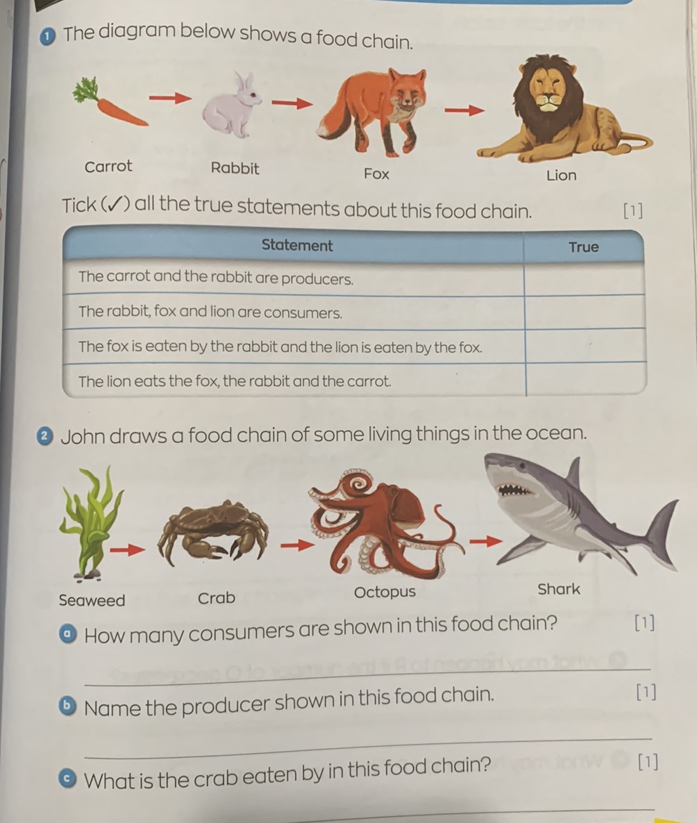 1. The diagram below shows a food chain. | StudyX