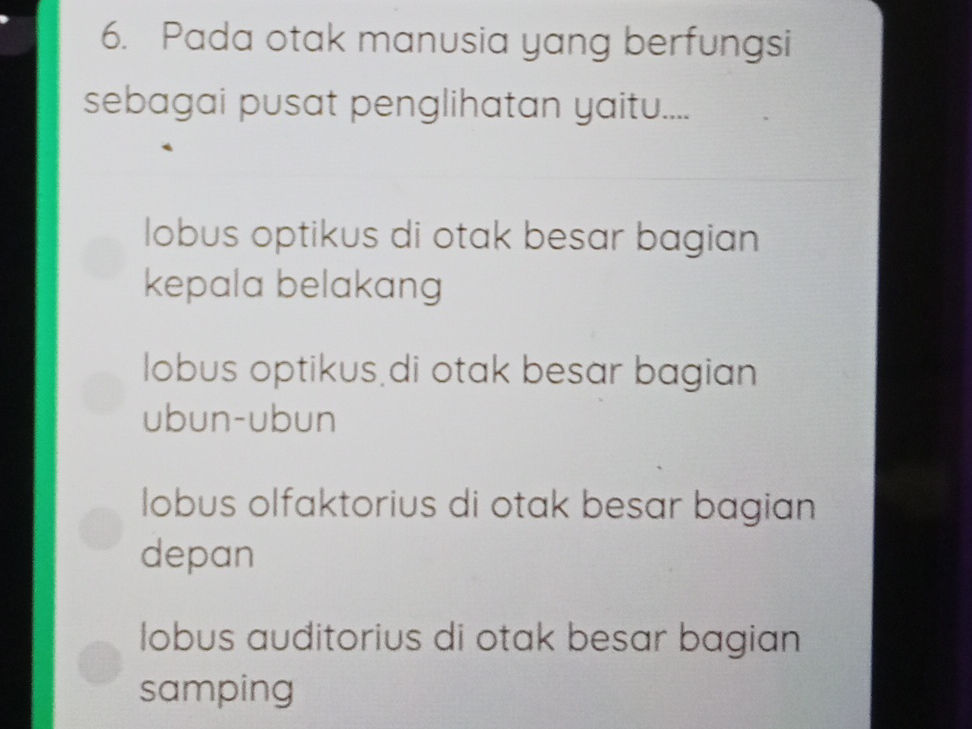 6. Pada otak manusia yang berfungsi sebagai | StudyX