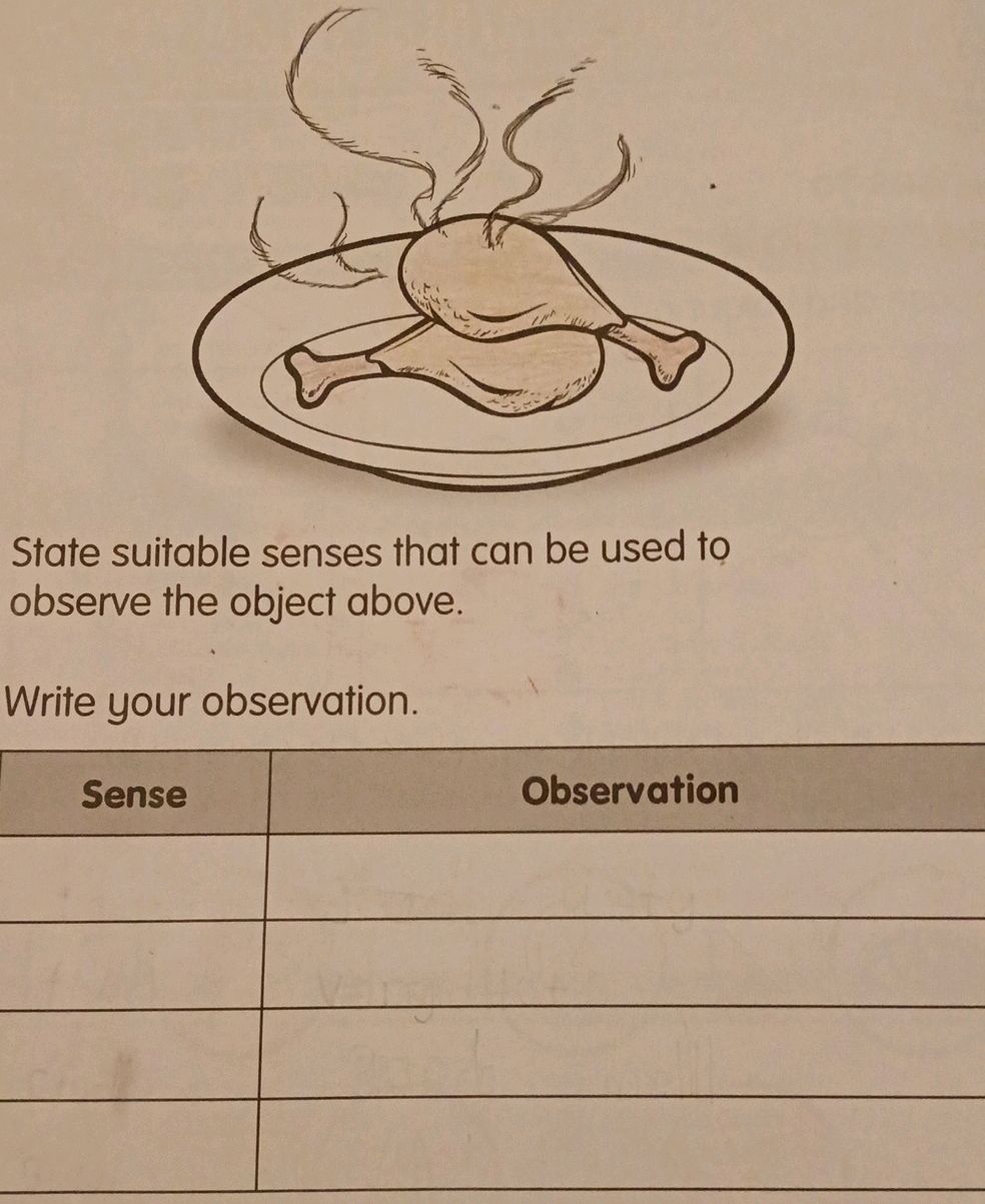 State suitable senses that can be used to | StudyX