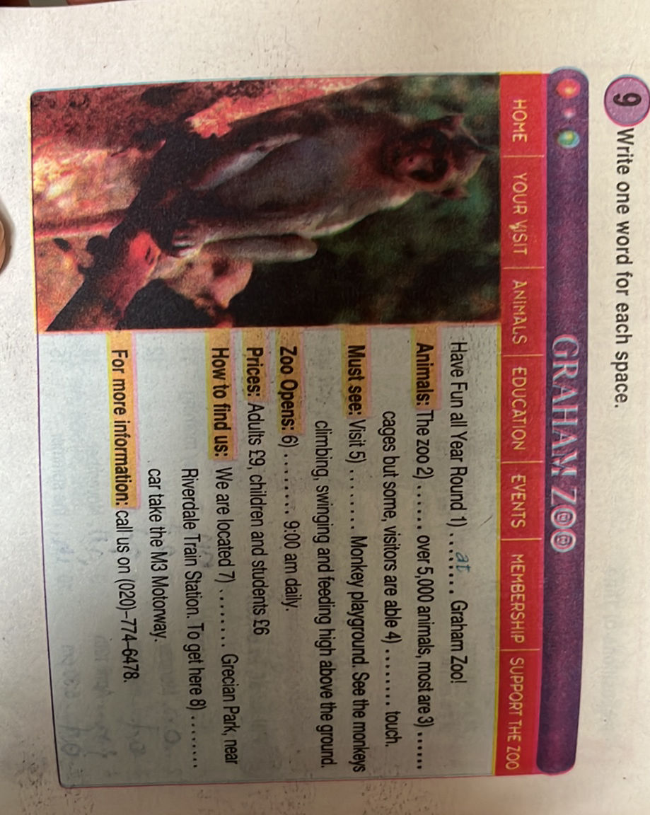 9 Write one word for each space. Have Fun | StudyX