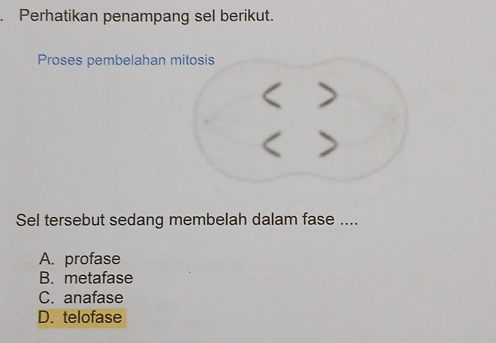 Perhatikan penampang sel berikut. Proses | StudyX