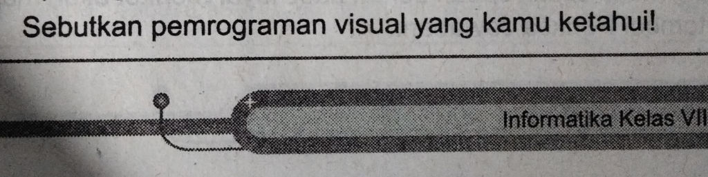 Sebutkan pemrograman visual yang kamu | StudyX
