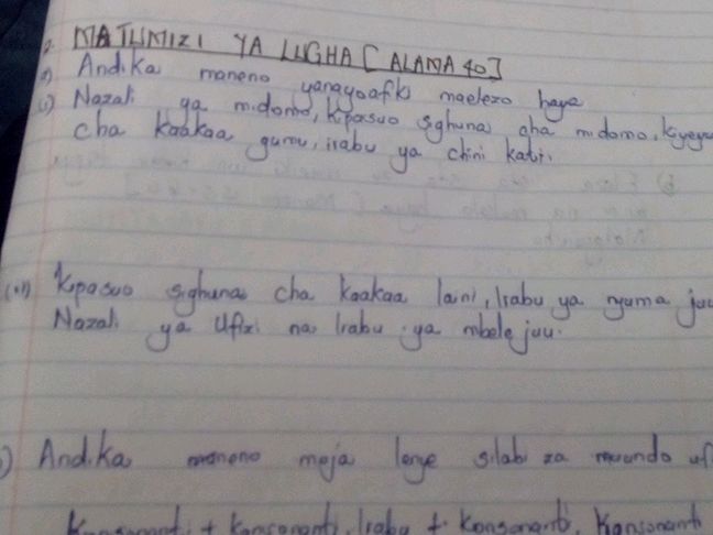 MATUMIZI YA LUGHA [ALAMA 40] Andika maneno | StudyX