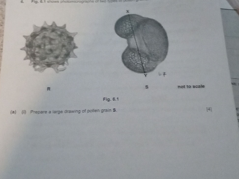 Fig. 6.1 shows photomicrographs of two types | StudyX