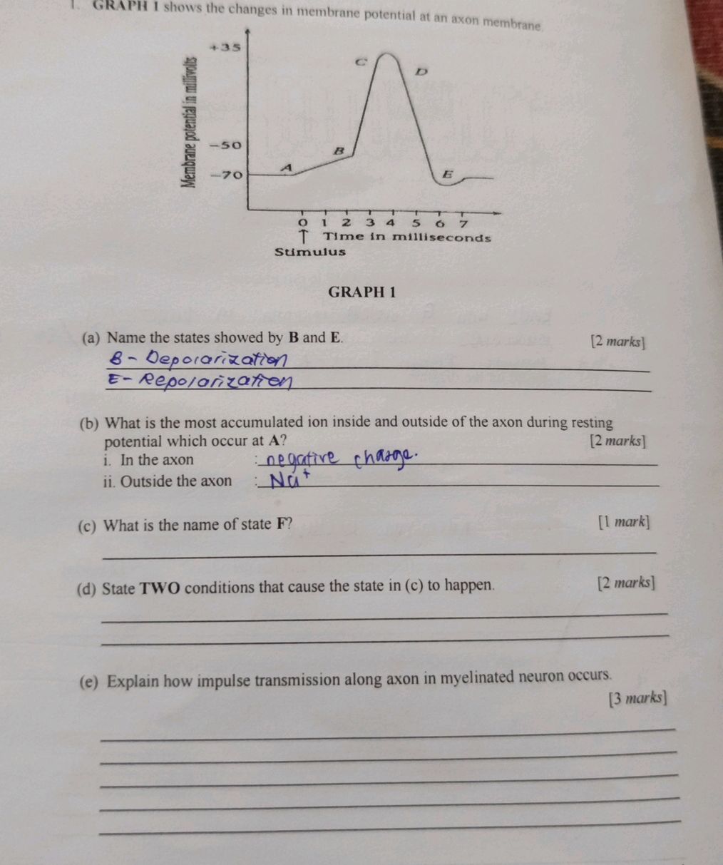 1. GRAPH 1 shows the changes in membrane | StudyX