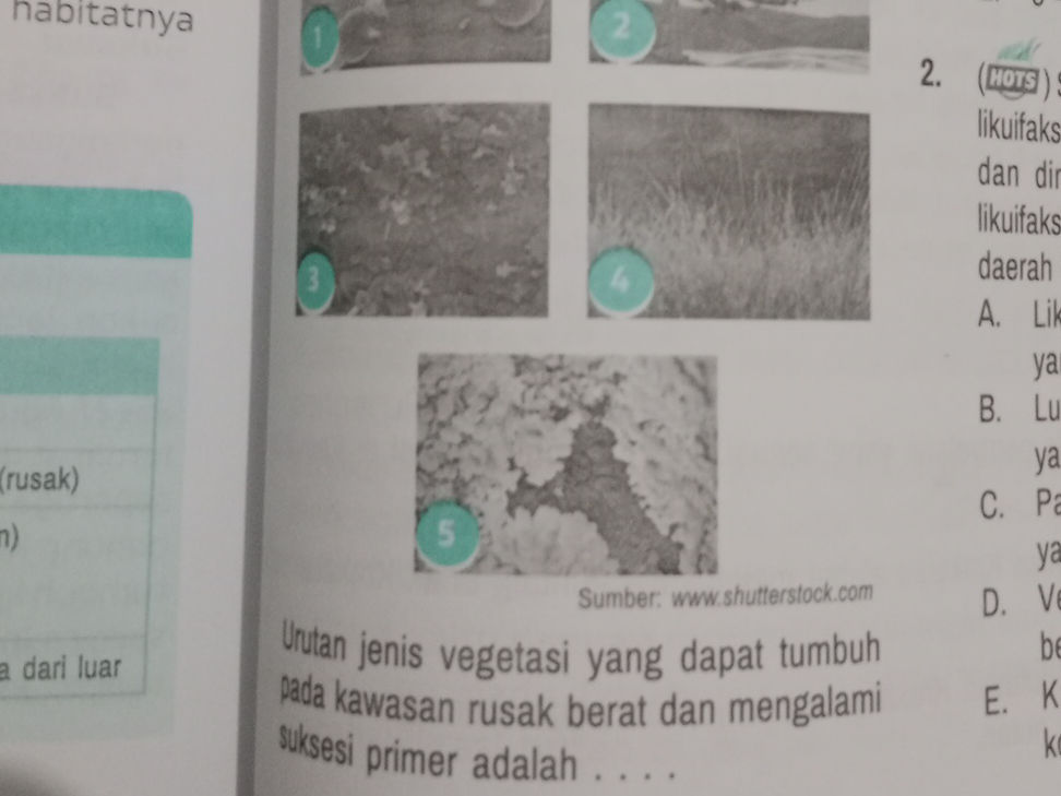 Urutan jenis vegetasi yang dapat tumbuh pada | StudyX