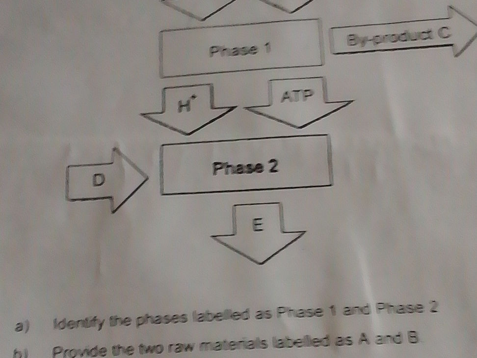 a) Identify the phases labelled as Phase 1 | StudyX
