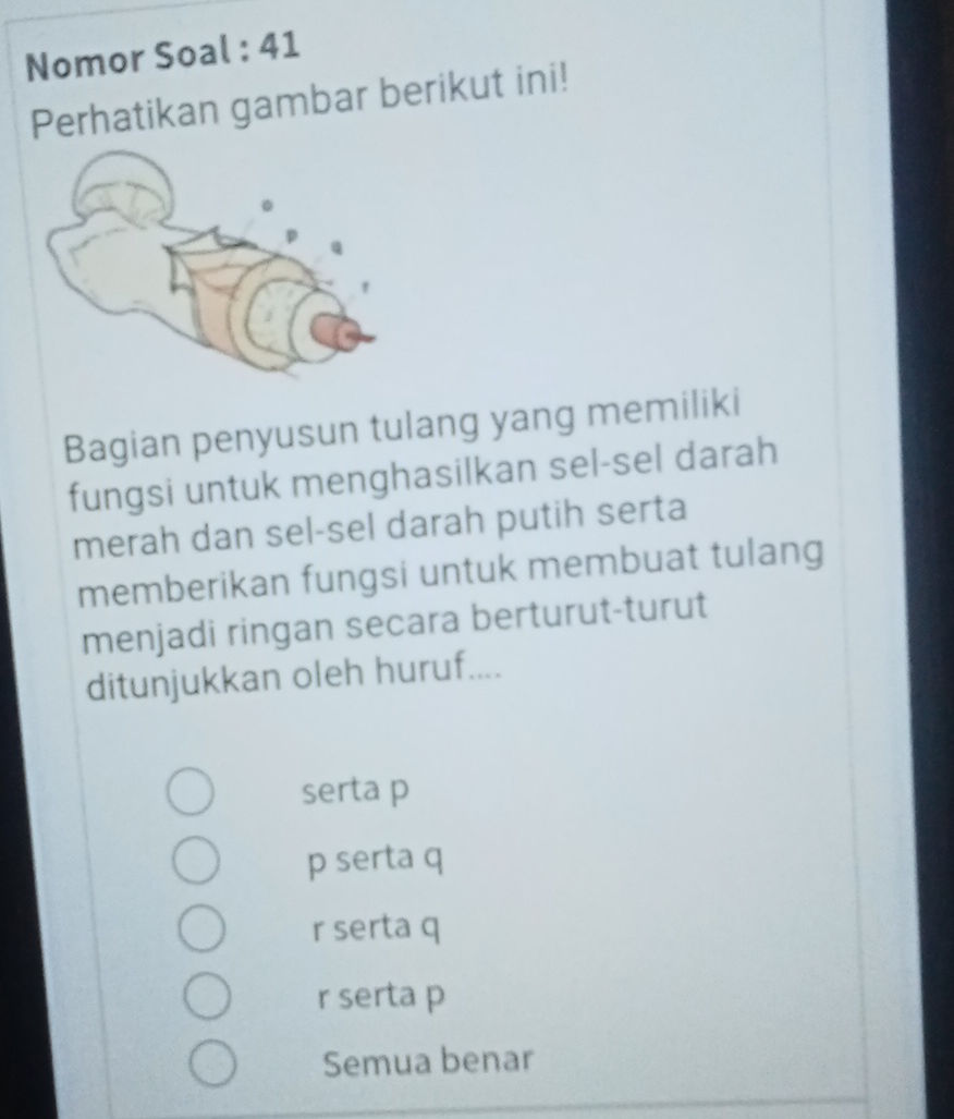 Perhatikan gambar berikut ini! Bagian | StudyX