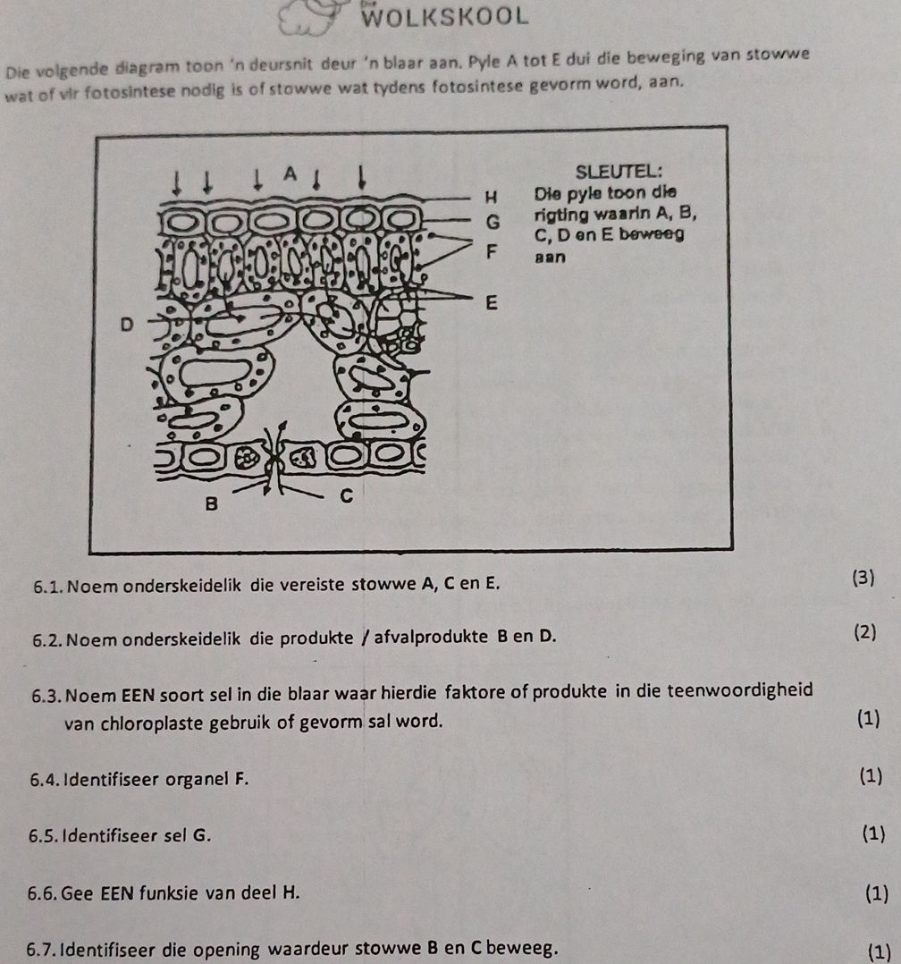 Die volgende diagram toon 'n deursnit deur | StudyX