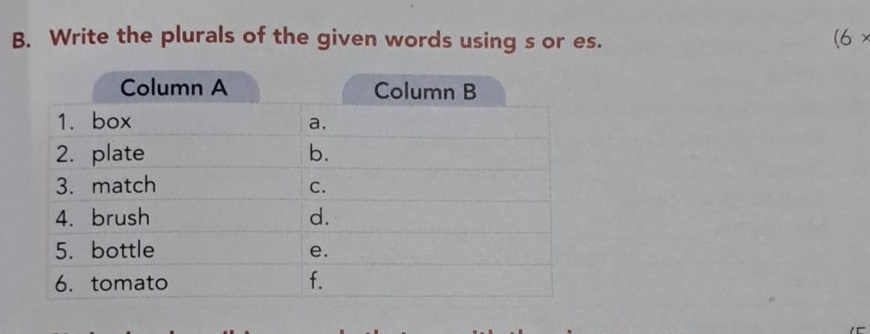 B. Write the plurals of the given words | StudyX