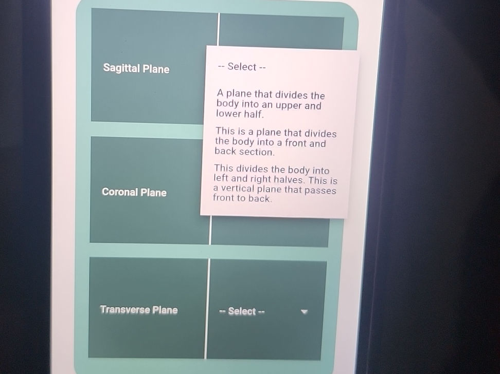 Sagittal Plane -- Select -- A plane that | StudyX