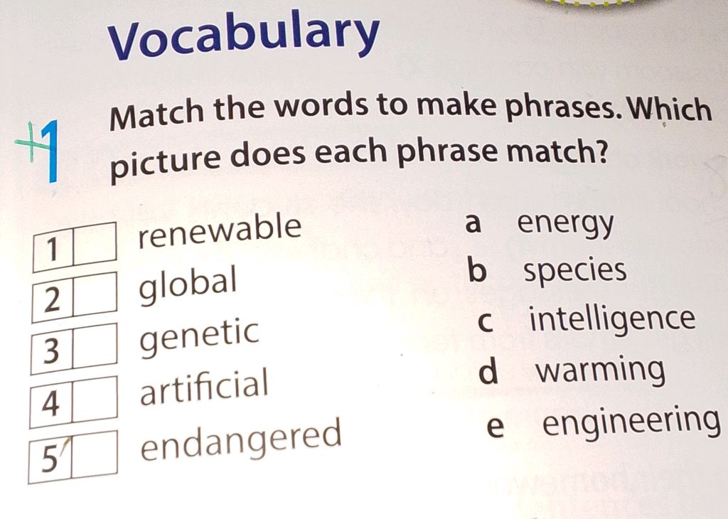 Match the words to make phrases. Which | StudyX