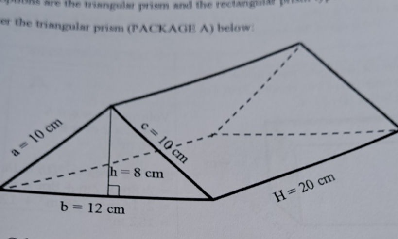 Consider the triangular prism (PACKAGE A) | StudyX