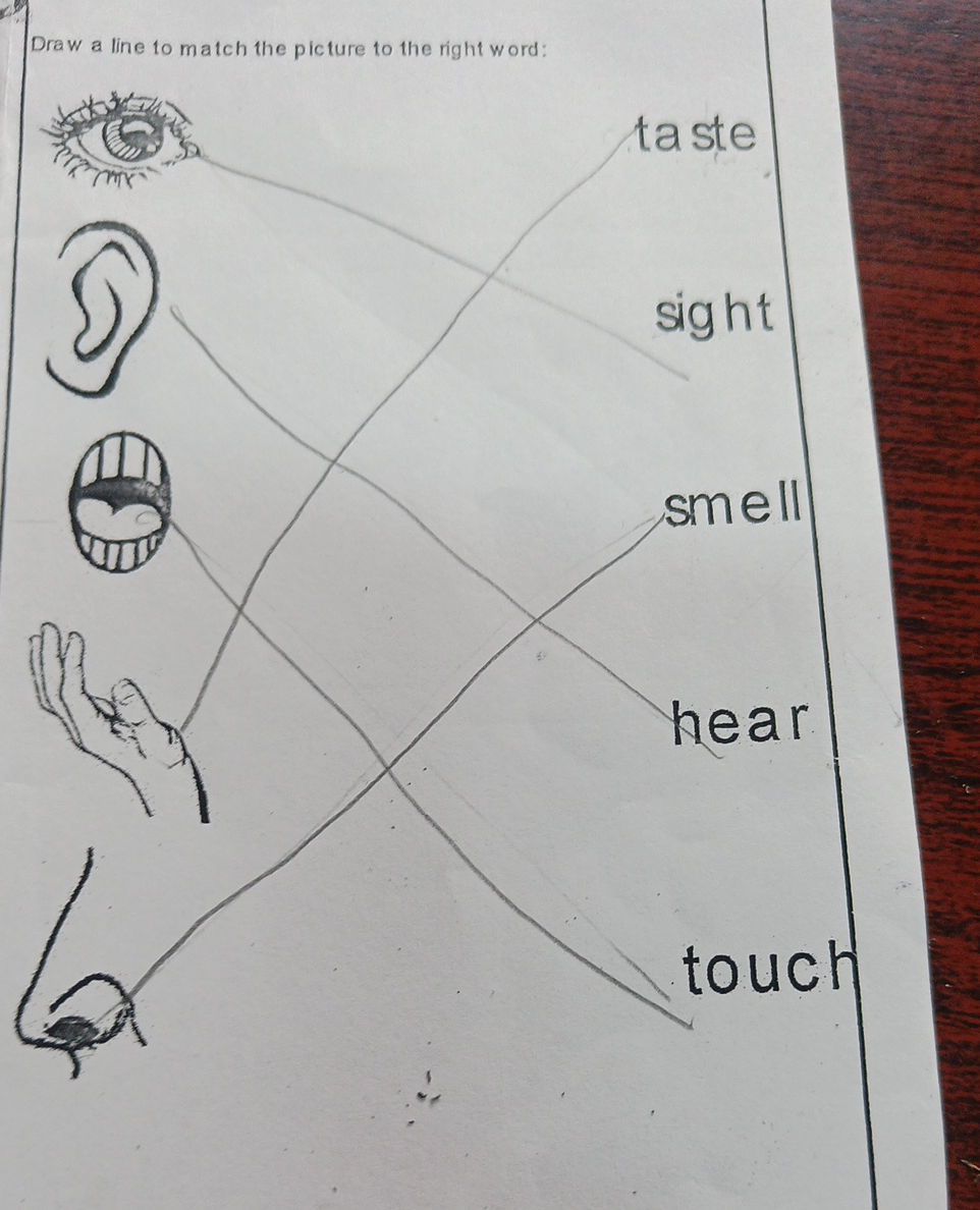 Draw a line to match the picture to the | StudyX