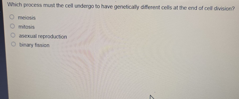 Which process must the cell undergo to have | StudyX