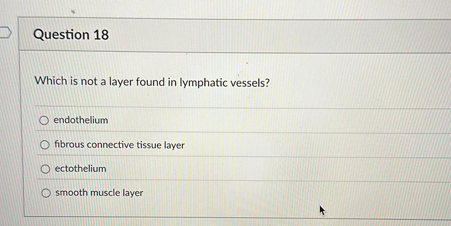 Which is not a layer found in lymphatic | StudyX