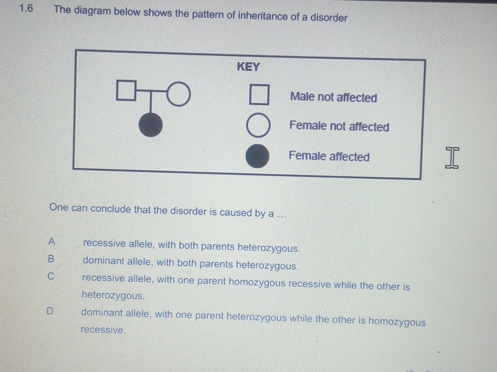 The diagram below shows the pattern of | StudyX