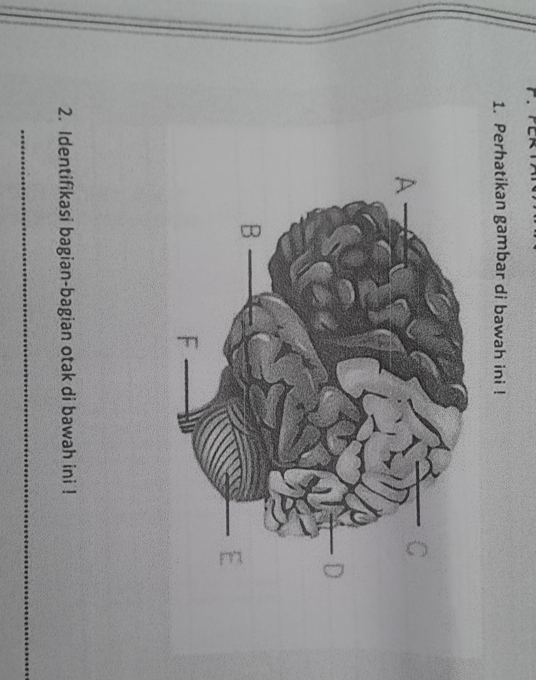 1. Perhatikan gambar di bawah ini ! 2. | StudyX