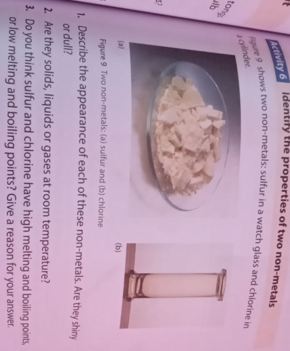 1. Describe the appearance of each of these | StudyX