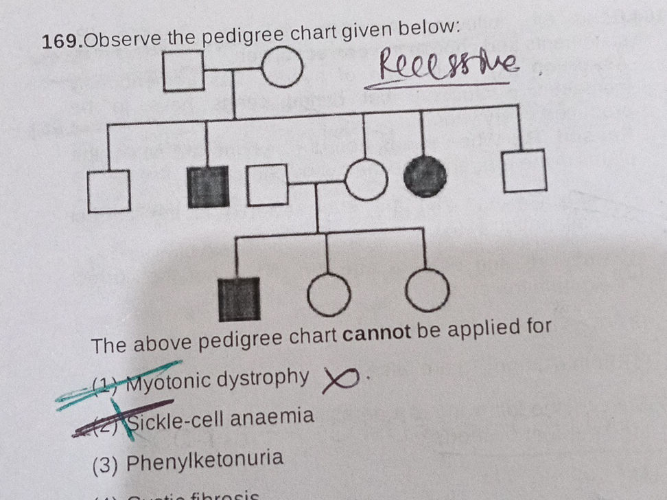 Observe the pedigree chart given below: The | StudyX