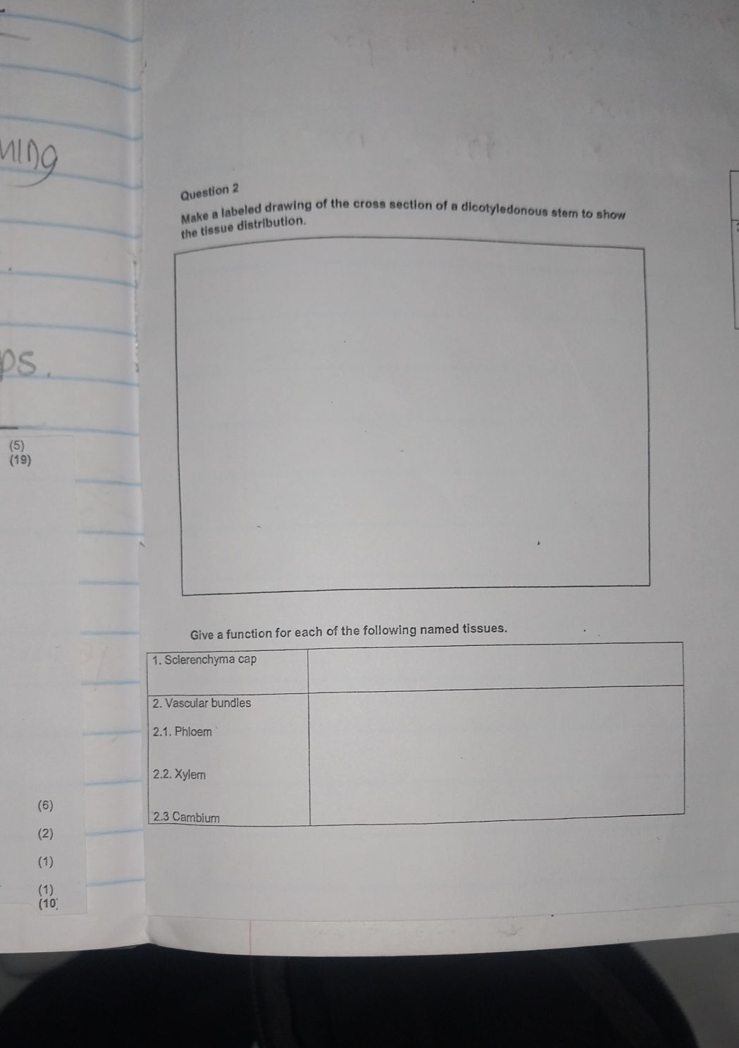 Question 2 Make a labeled drawing of the | StudyX